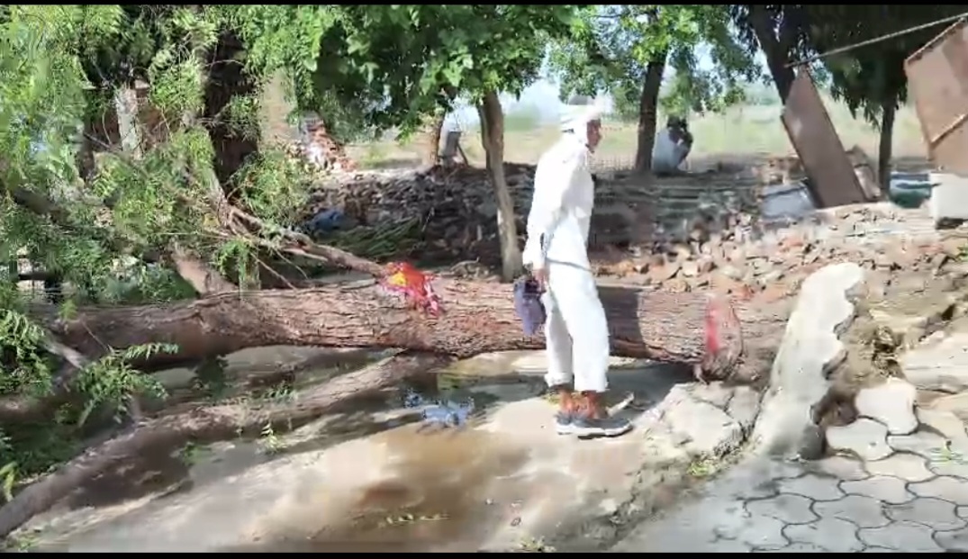 Kailaras Storm Damage | Trees Uprooted, Tin Sheds Blown Away, Walls ...