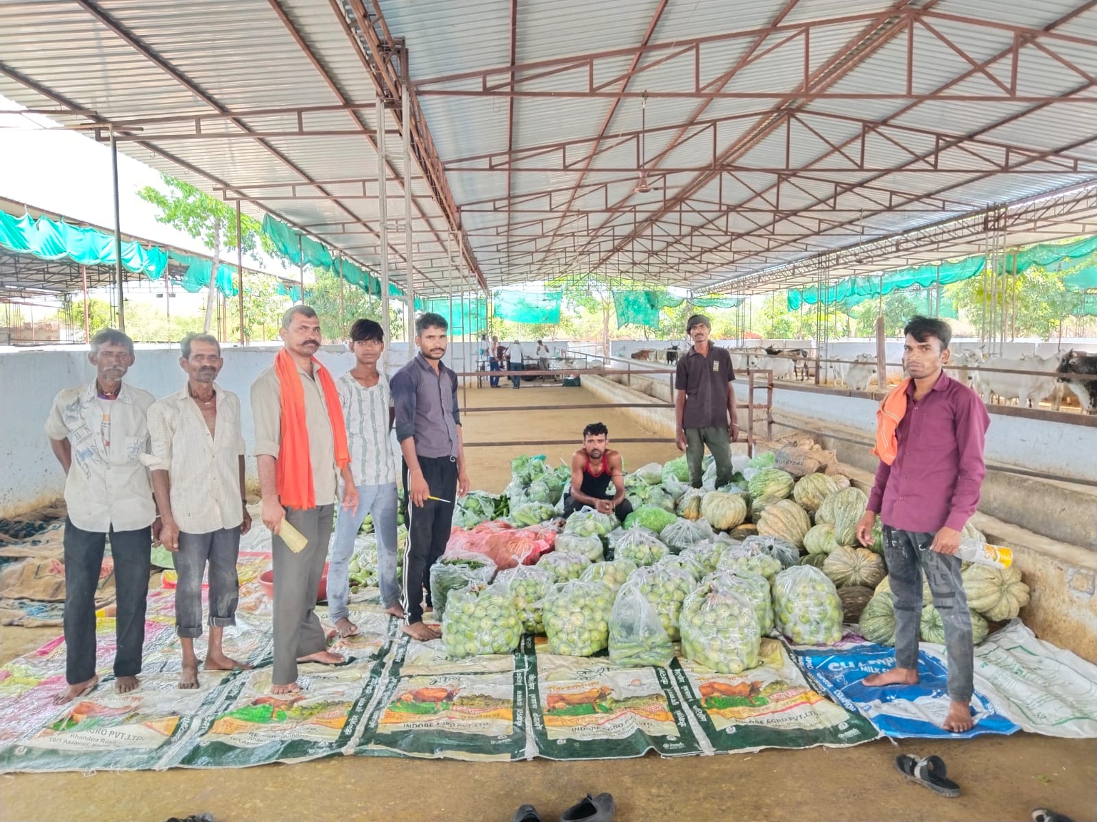 Chhappan Bhog Mahotsav at Shri Krishna Gaushala; cows will be offered ...