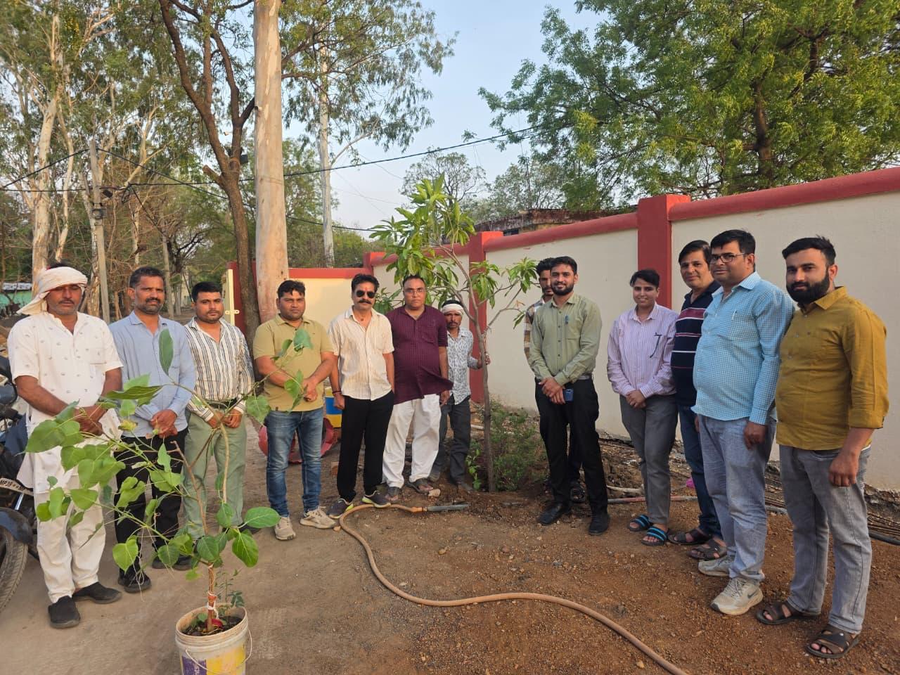 Unique initiative: 10-year-old mango tree planted
