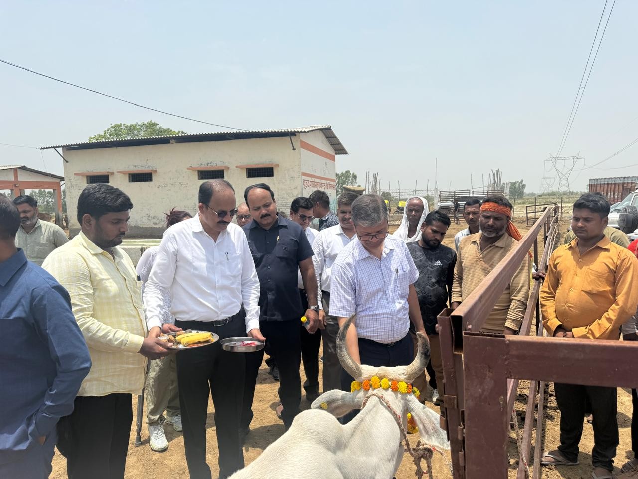 Kakori Cow Shelter Special Program | Modi Govt 12 Years Achivements
