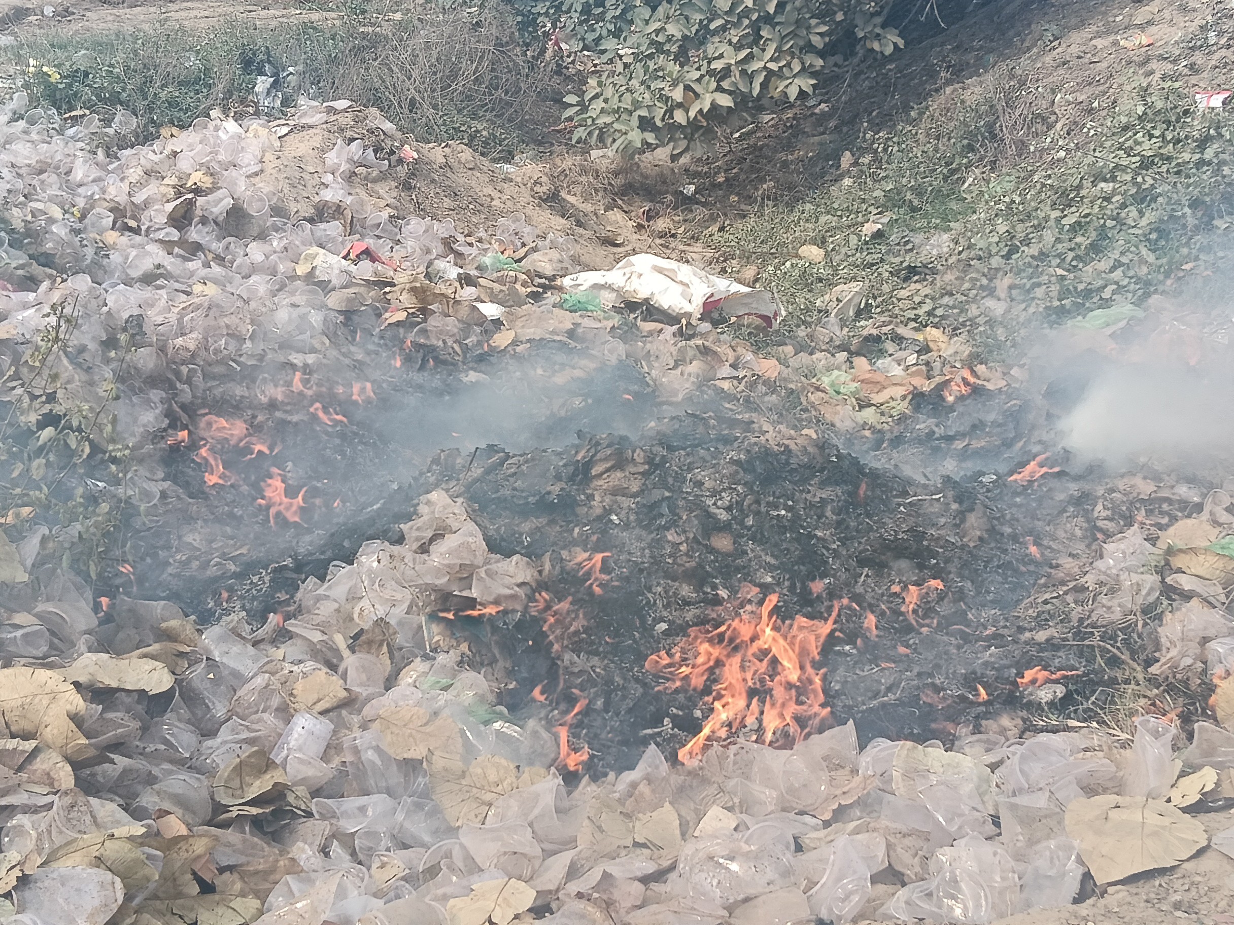 Belhara Plastic Waste Pollution | Bhandara Negligence Raises Questions