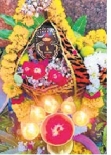 Siddha Nageshwar Mahadev is adorned with flowers