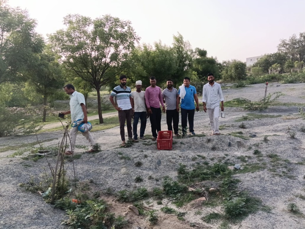 Latest Patan (Rajasthan) News (पाटन (राजस्थान) न्यूज़): पढ़ें 10 जून के ...