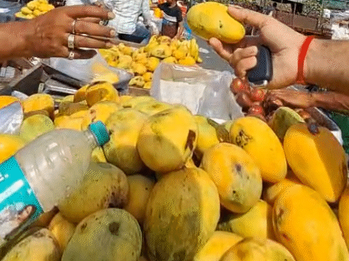 Cancer Risk Rises; Watermelon Injection Truth Revealed | Chemical Fruits