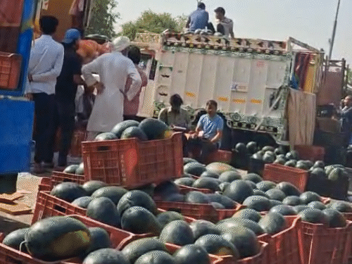 Cancer Risk Rises; Watermelon Injection Truth Revealed | Chemical Fruits
