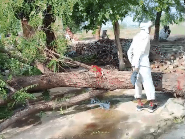 Kailaras Storm Damage | Trees Uprooted, Tin Sheds Blown Away, Walls ...