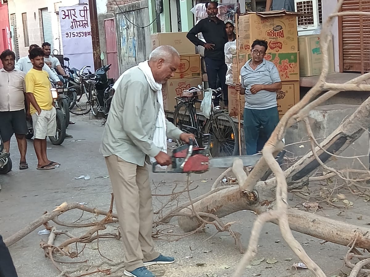 Sadabad Peepal Branch Removed | Dainik Bhaskar Report Action