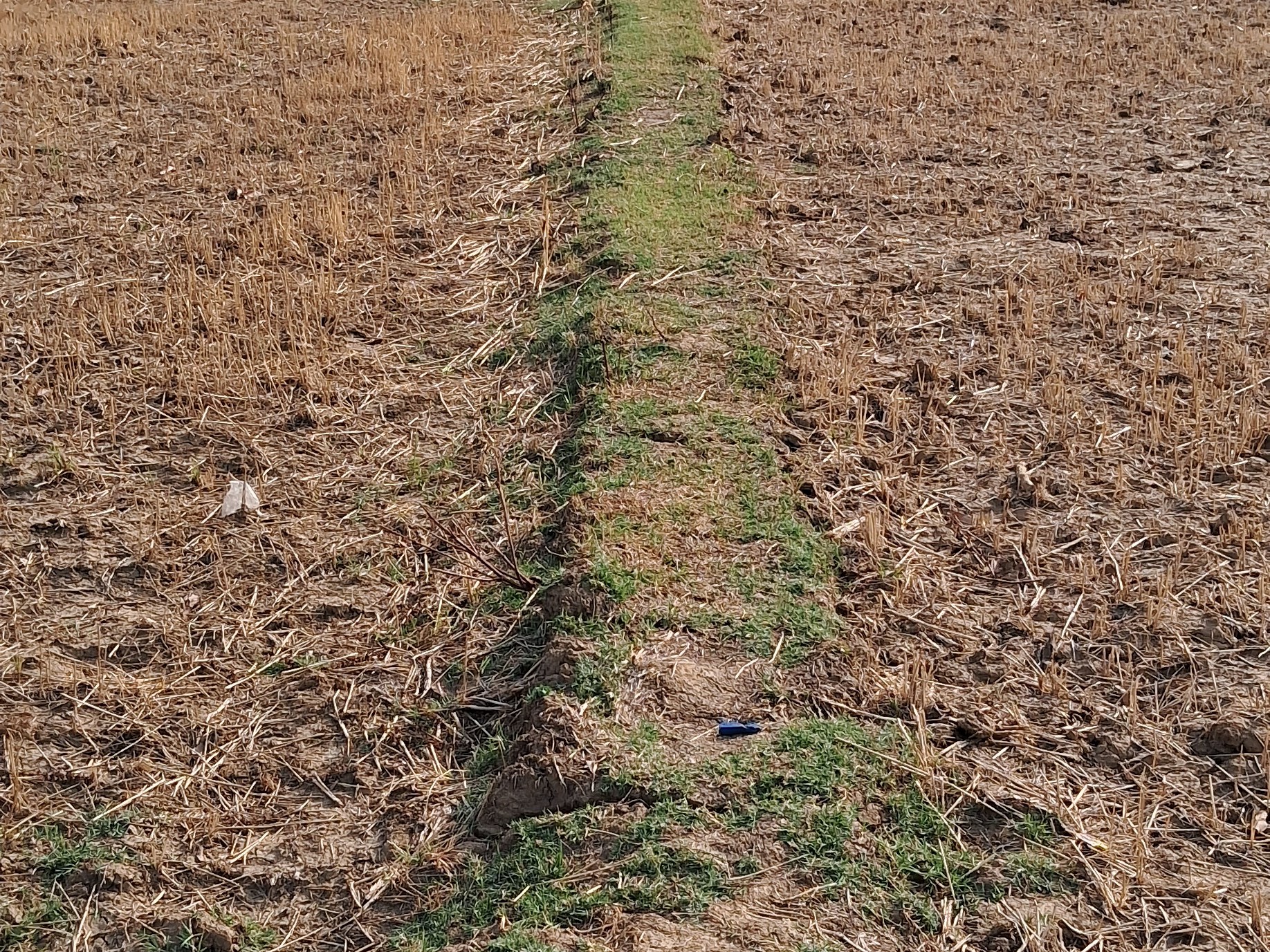 Tikuri Village Irrigation Canal Disappears | Land Grab Accusation