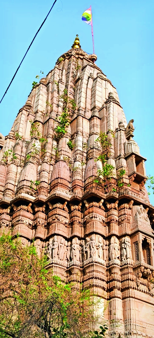 Peepal trees growing on ancient temples pose a threat to historical ...
