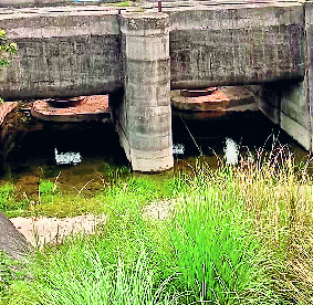 Preparation of new tender in hydro power project