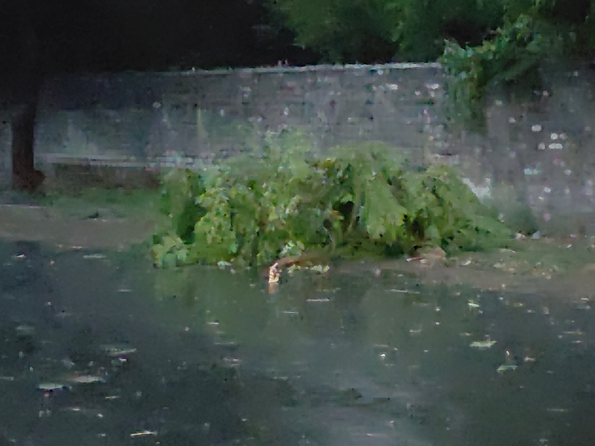 Hoshiarpur Tanda Storm: Power Outage, Temp Drop After Storm Damage