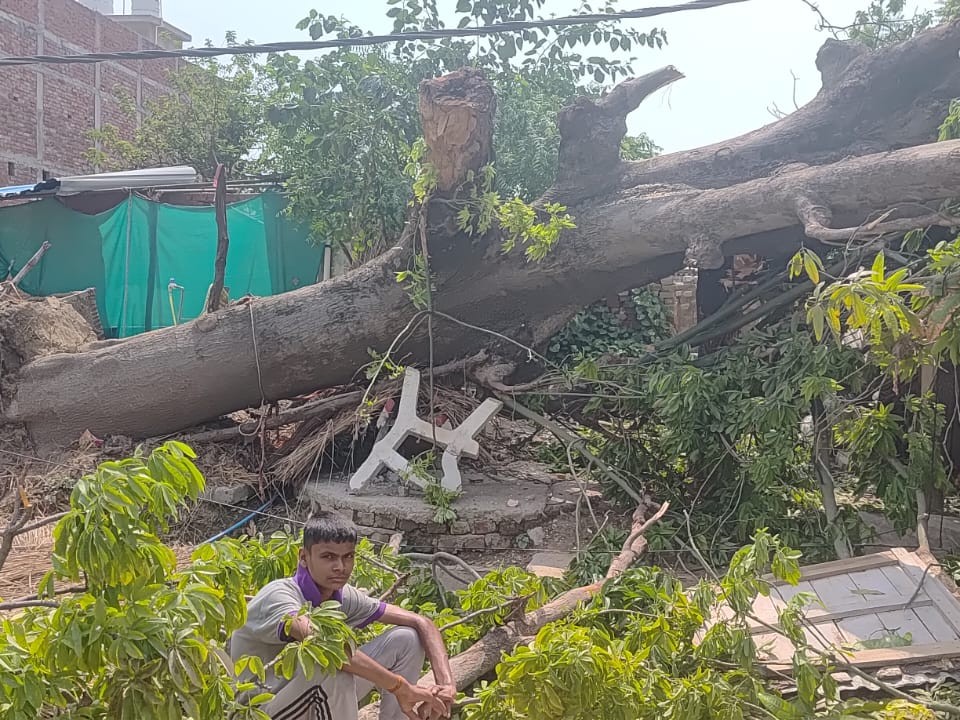 Chahania Storm Damage | Poultry Farm Chicks Death Power Outage