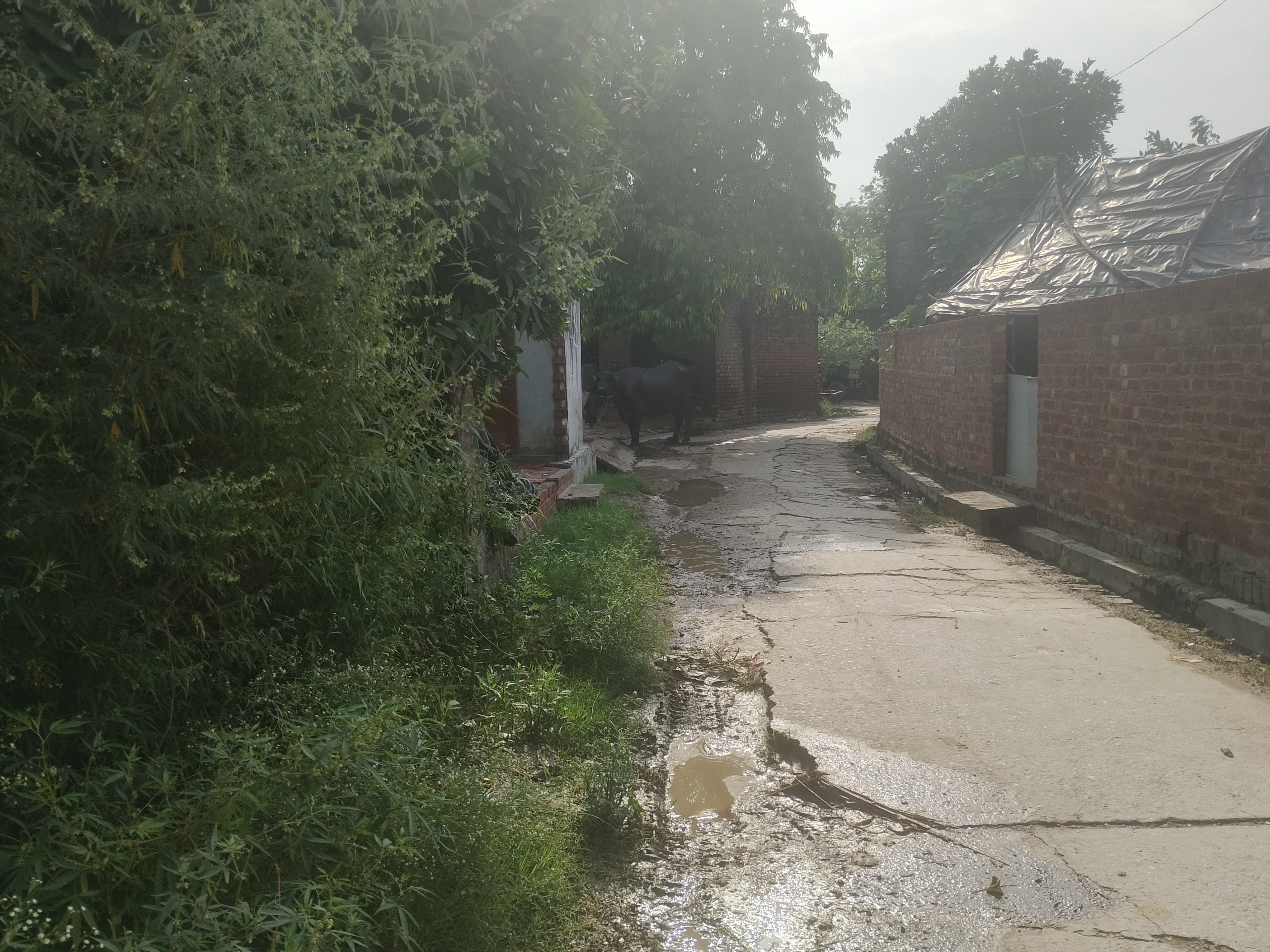 Lakhimpur Kheri Villagers Face Trouble | Bad Roads Bharighma