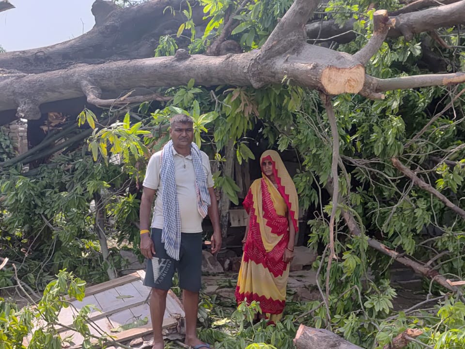 Chahania Storm Damage | Poultry Farm Chicks Death Power Outage