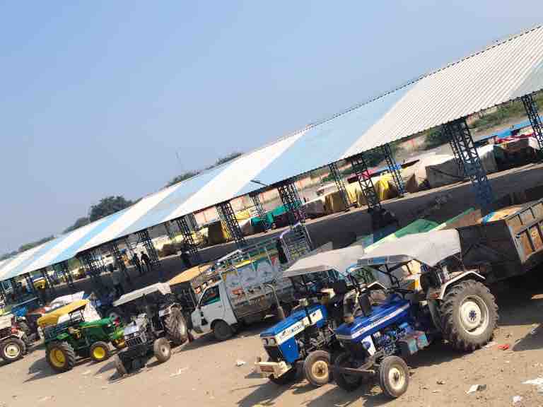 Badnawar Mandi Agri Arrivals: Garlic Tops at 12450Quintal