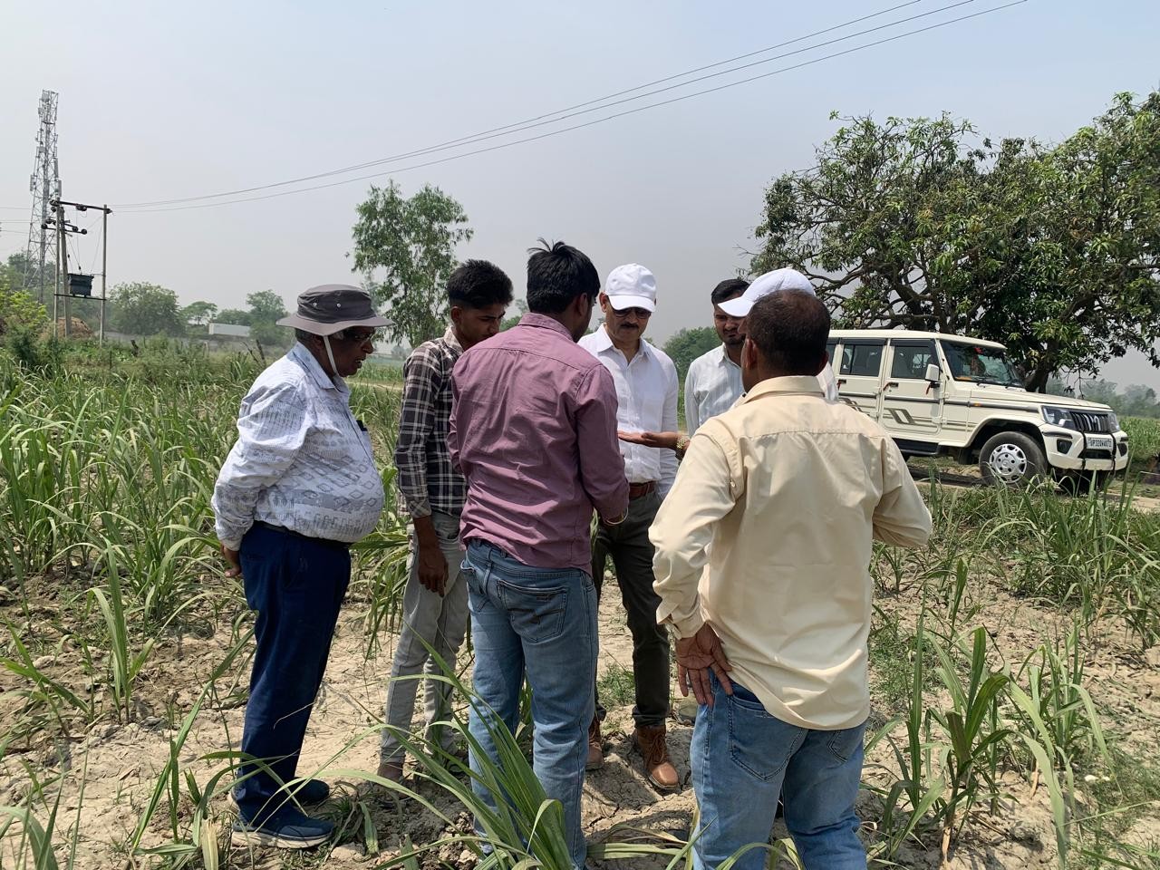 Lakhimpur Farmers Upset Over Urea Shortage; DCM Shriram Offers Solutions