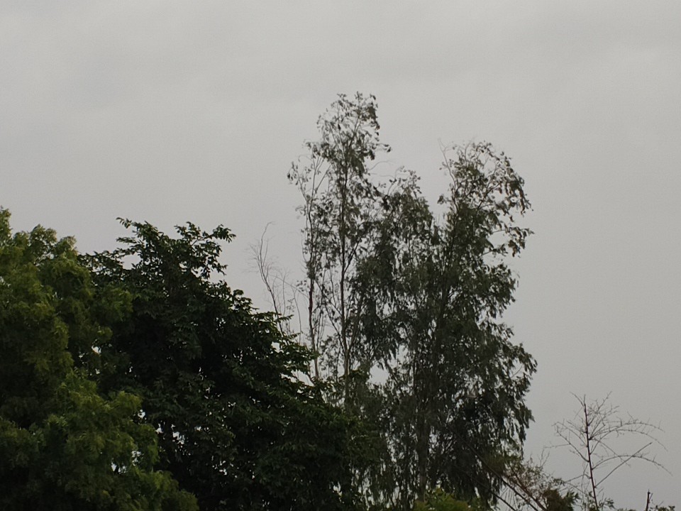 Mau Heavy Rain Relief | Heat Wave Ends