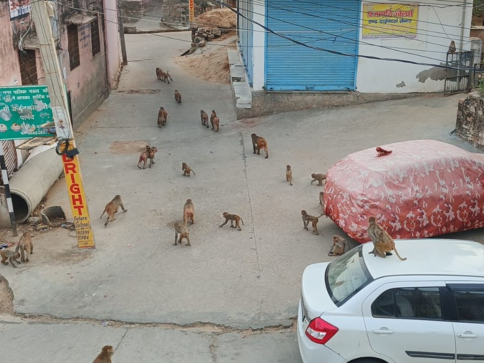 Latest Chomu News (चौमू न्यूज़): पढ़ें 11 जून के ताज़ा समाचार दैनिक ...