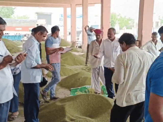Nagaur Spice Rates Surge: Sindhi Suva, Jira, Saunf Prices Jump
