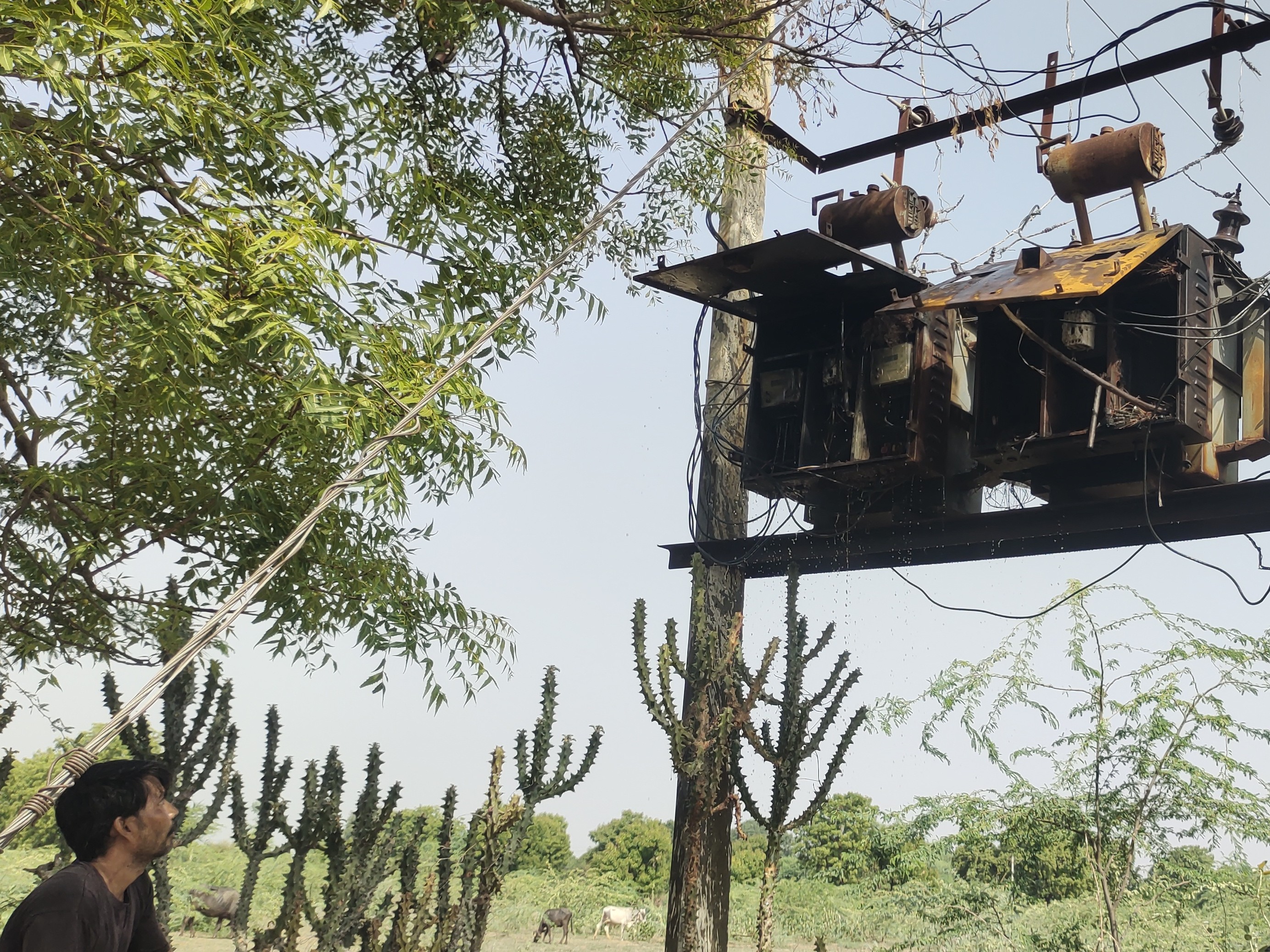 Jhor Gaon Farmers Prevent Transformer Fire | Cable Fault Mishap