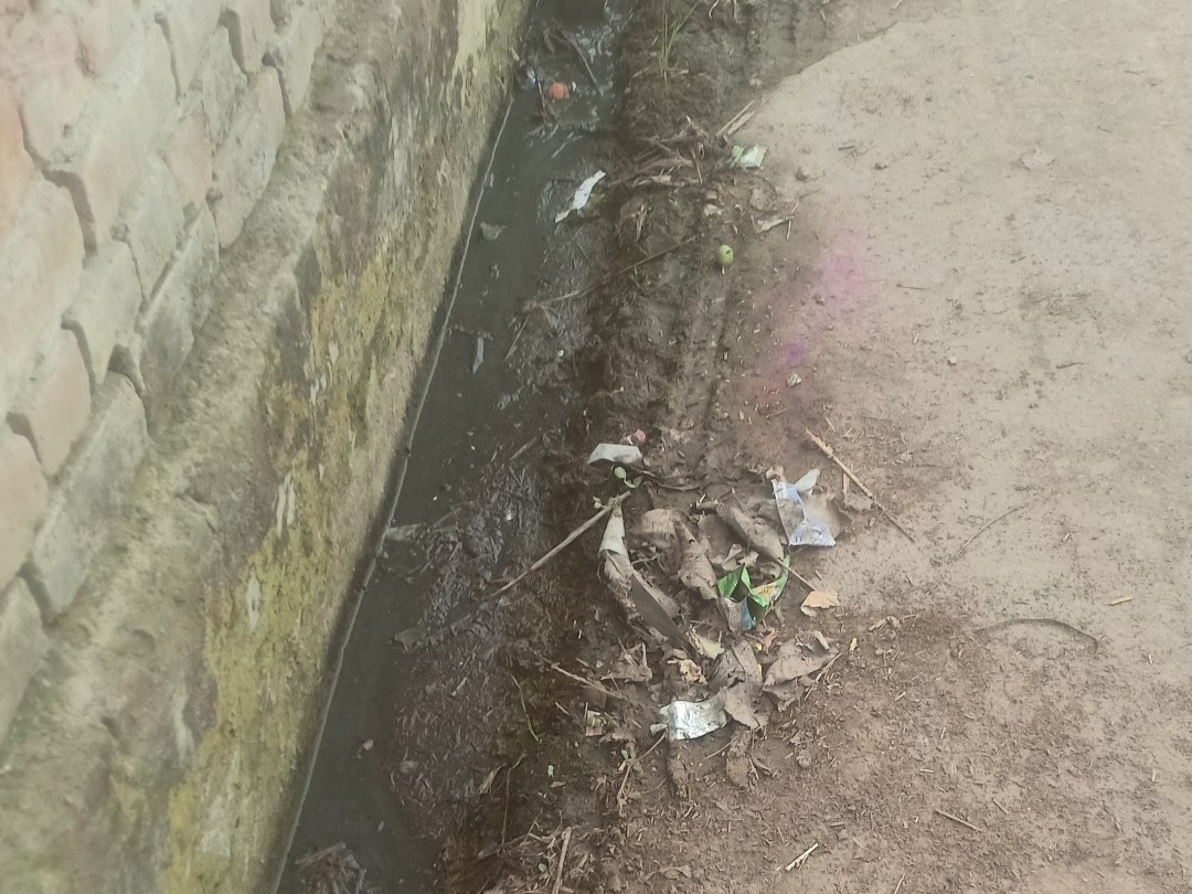Shravasti Gramin Pareshan | Khuli Nali Durgandh, Machhar, Bimari Khatra
