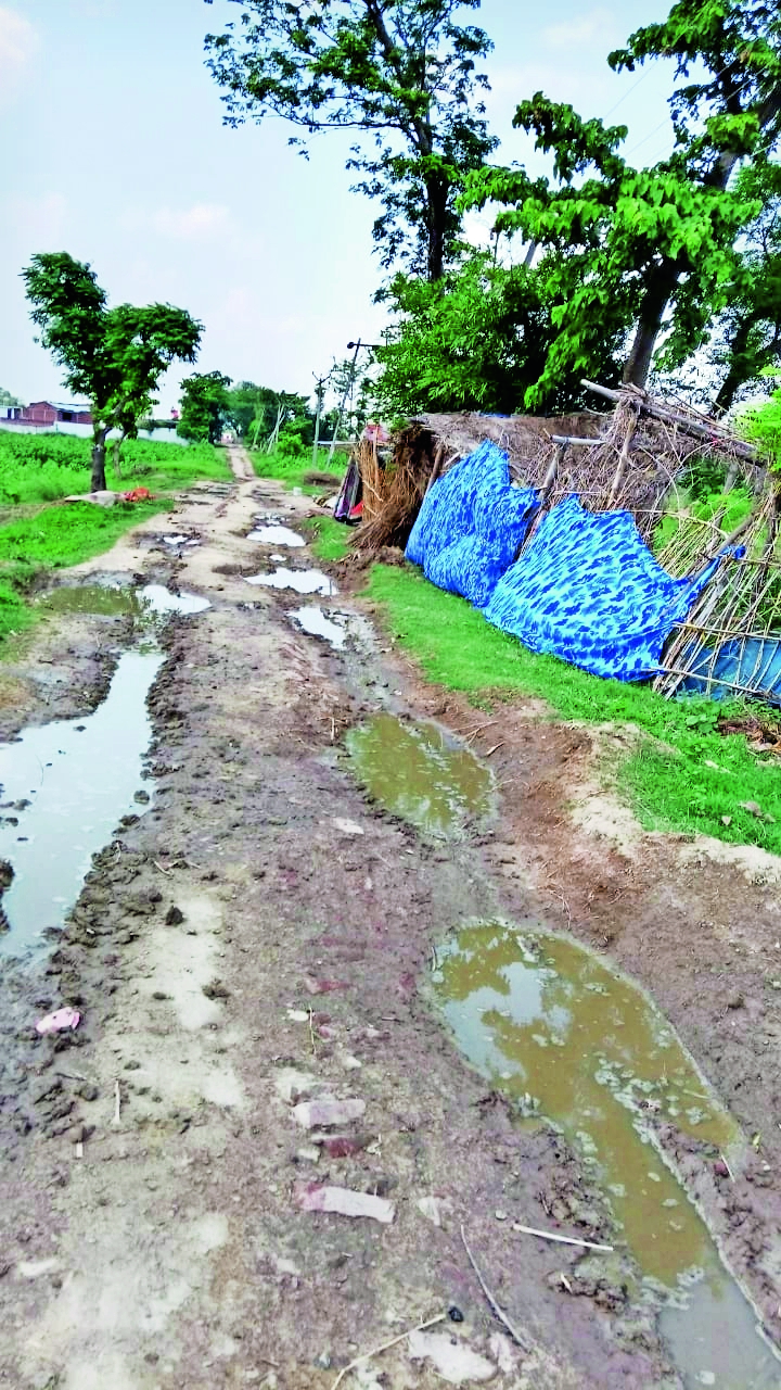 In 2014, a bridge was built at Trimuhan Ghat at a cost of lakhs, but ...