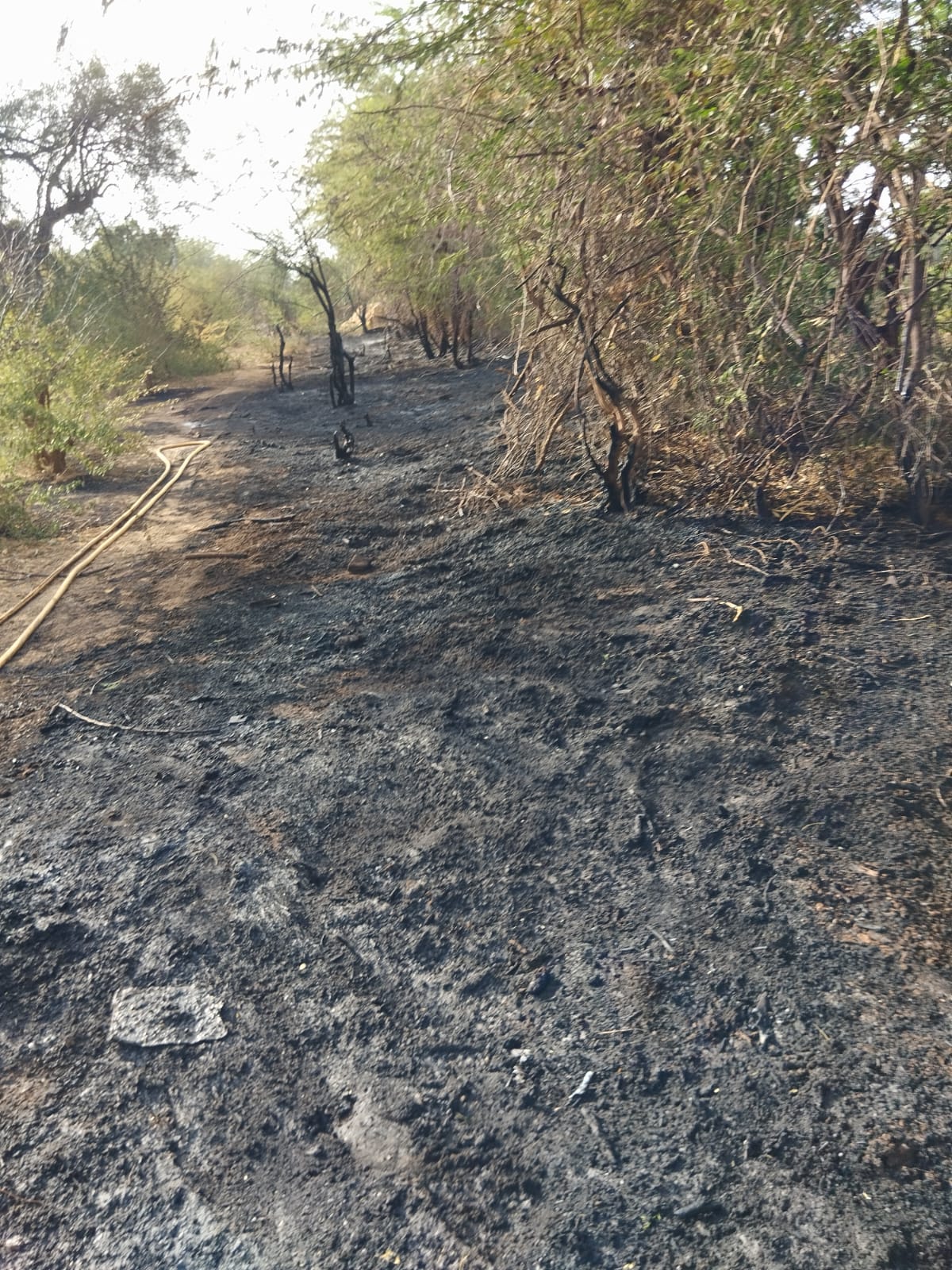 Fire at agricultural well, two trolleys of fodder burnt