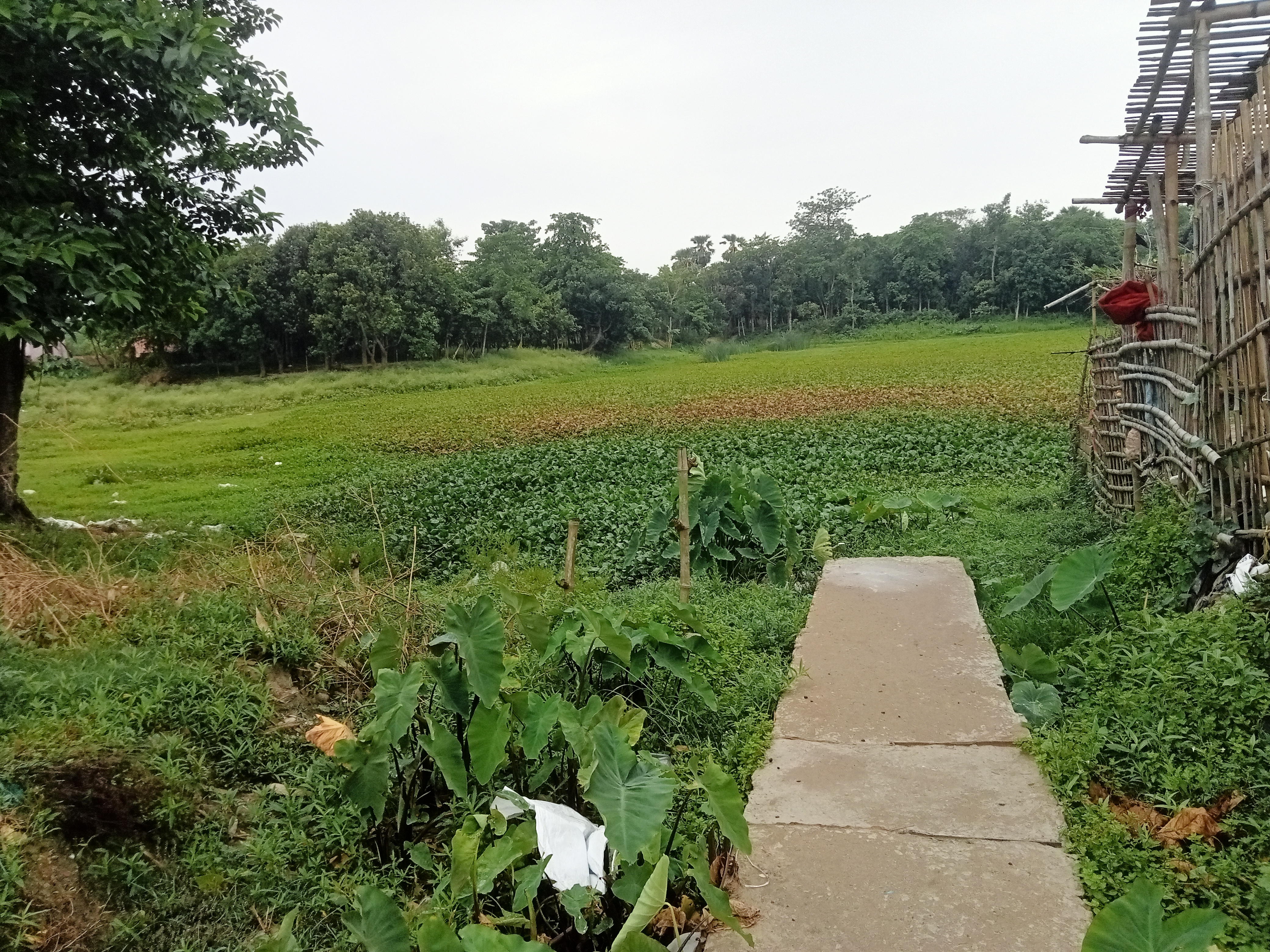 Despite spending ₹17 lakh, there is no waste management; people are ...