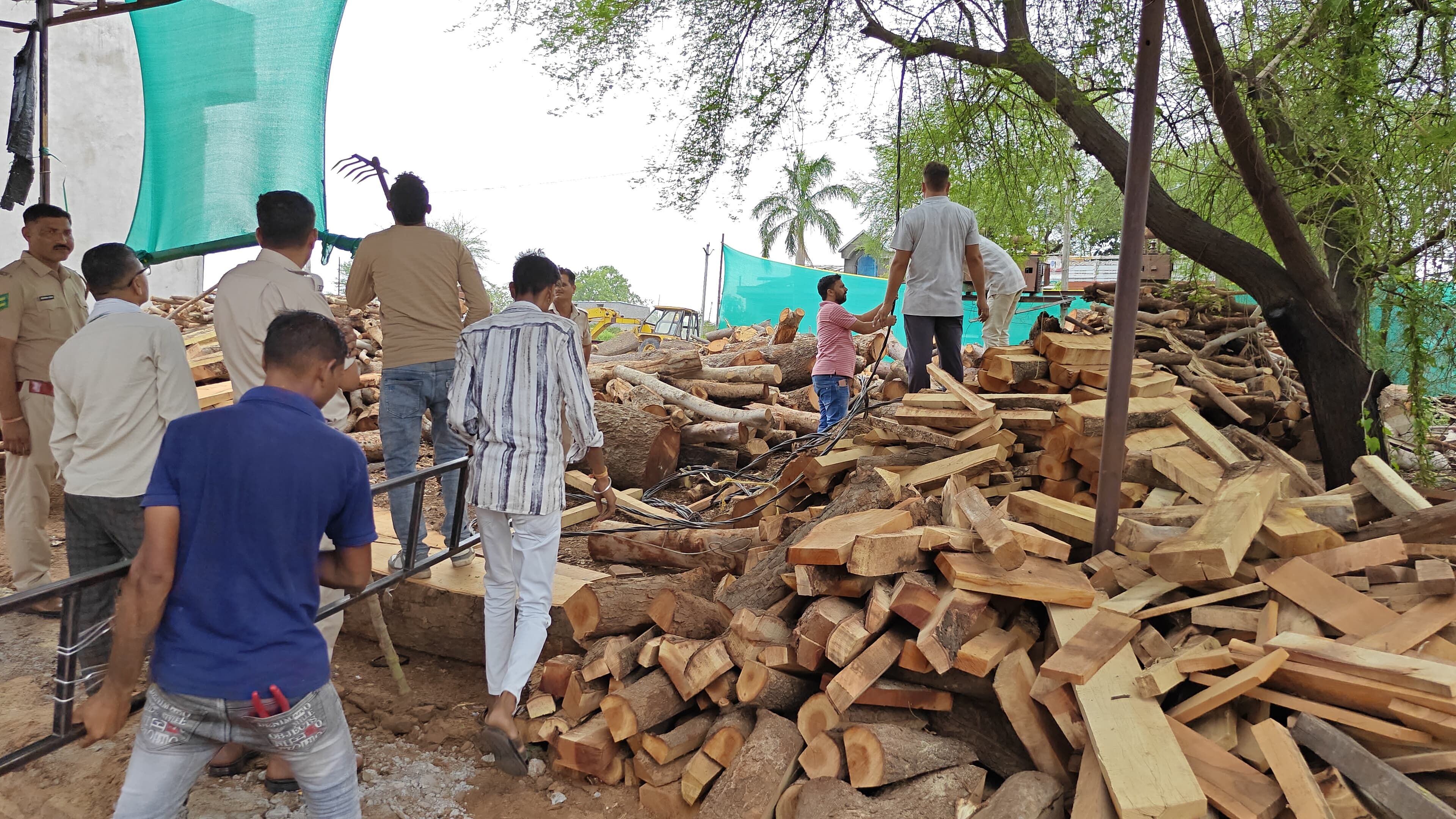 The Forest Department demolished 12 illegal sawmills and disconnected ...