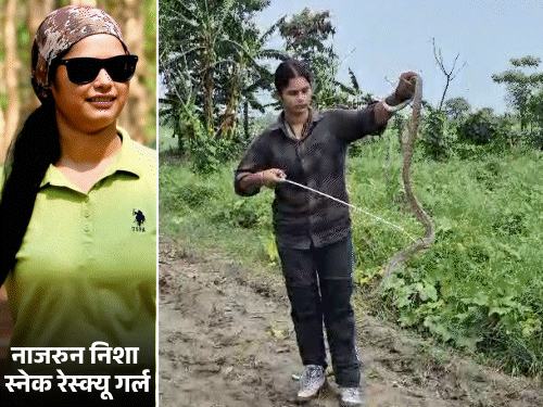 UP Snake Girl Rescues 393 Snakes | Lakhimpur Kheri | Video