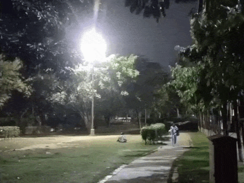 Punjab Chandigarh Rain-Hail Warning | Temp Drop, Deaths