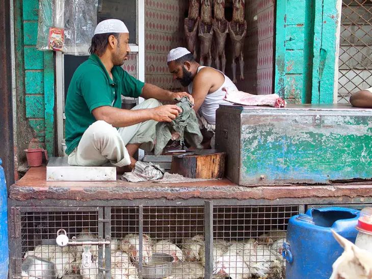 Ujjain Hindu Jagran Manch Claims Mutton Shops Outside; Mayor Milk Bath