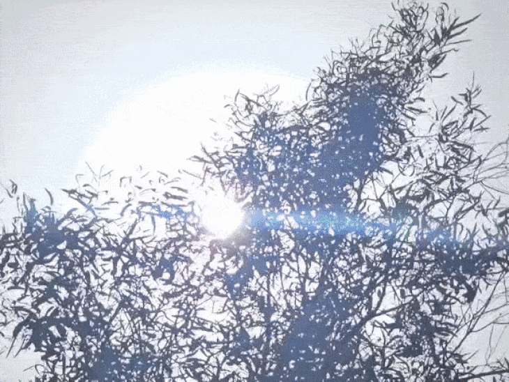Barmer Heatwave & Dust Storms: No Relief from Summer Heat