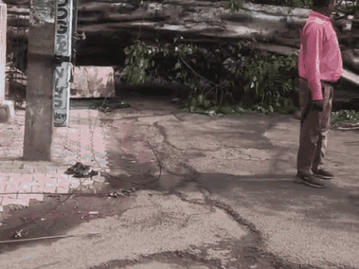 Punjab Chandigarh Rain-Hail Warning | Temp Drop, Deaths