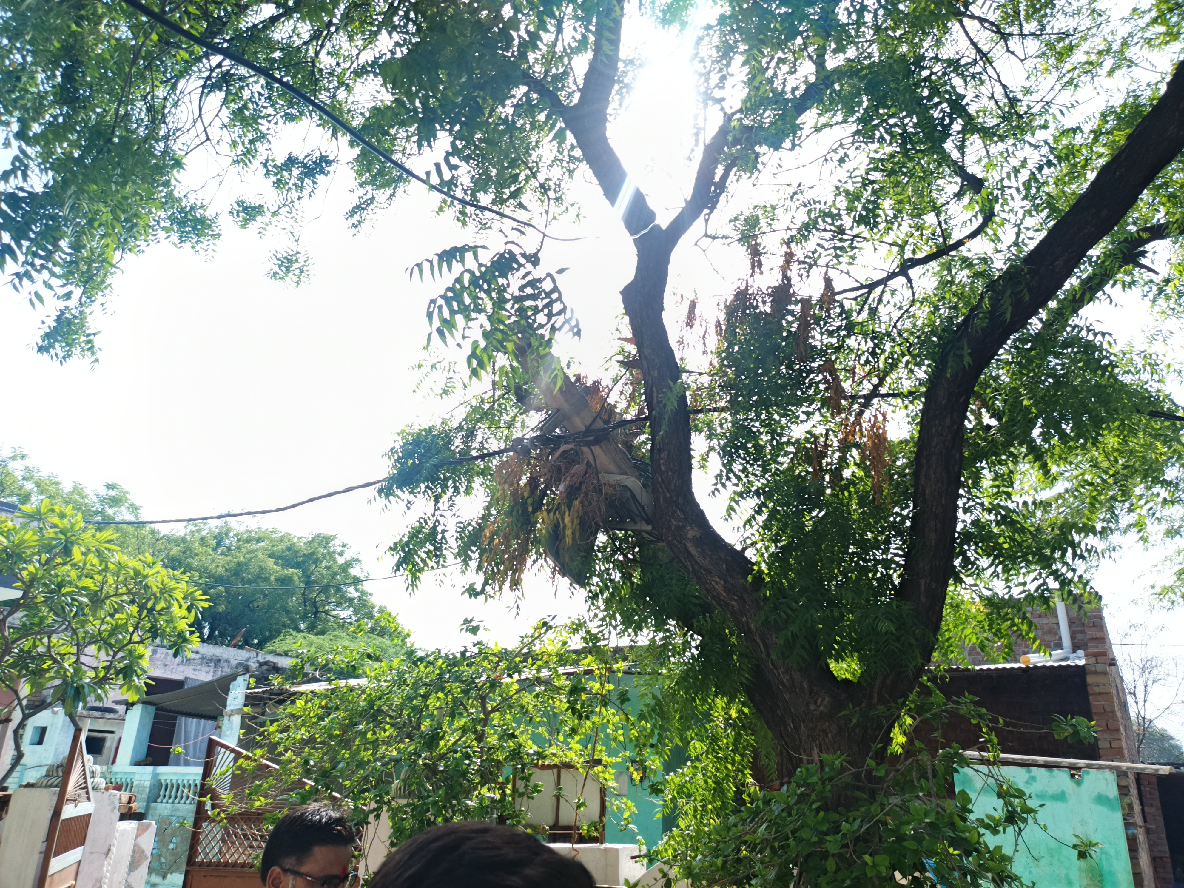 Nagla Singhi Power Poles Down | Accident Fear; Villagers Blame Dept