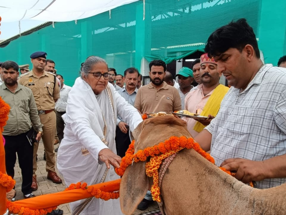 Amroha Gau Shala Visit: Minister Gulab Devi Inspects, Orders Special ...