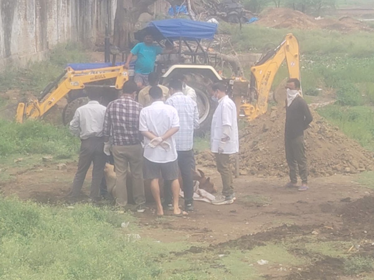 Hasayan Dead Cow Postmortem | Cow Protectors Demand FIR