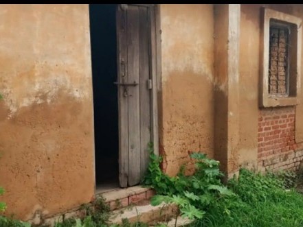 Ilia Farmers Struggle: Seeds & Agro Material Shortage Due to Decades ...