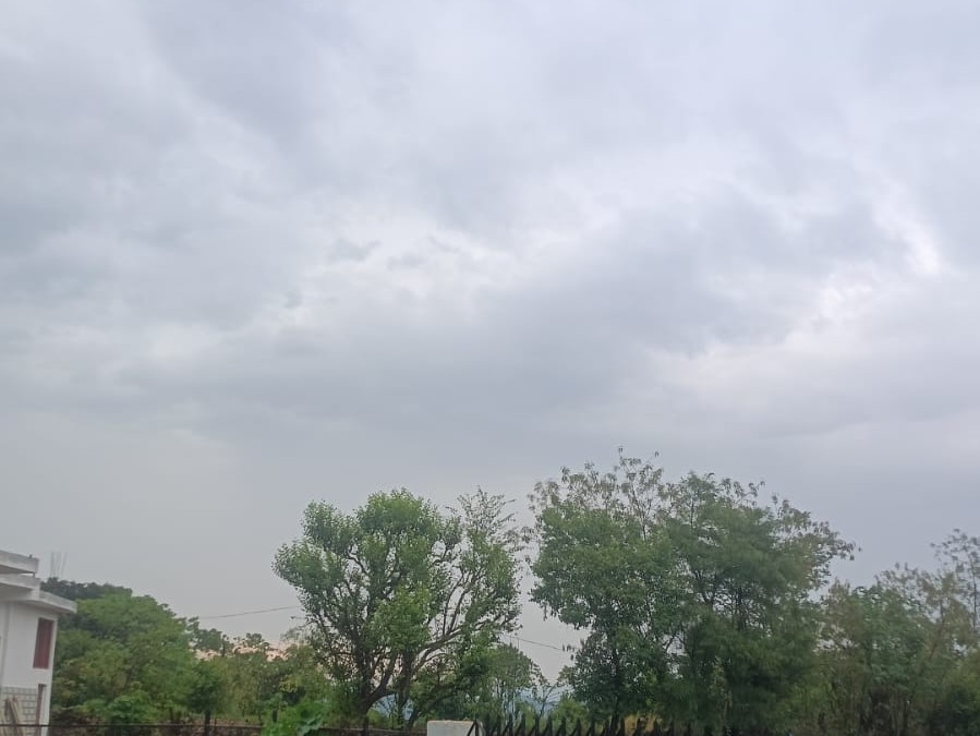 Latest Manali News (मनाली न्यूज़): पढ़ें 13 जून के ताज़ा समाचार दैनिक ...