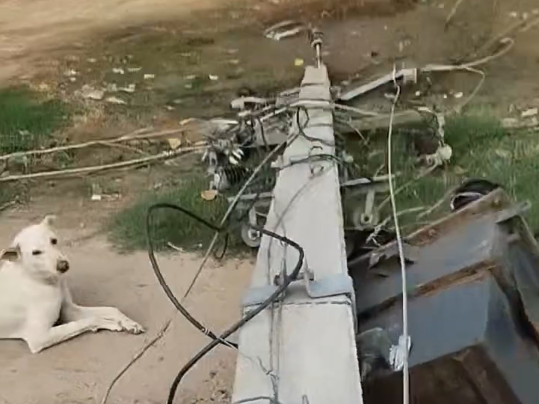 Bihar Tree Fall | Power Poles Damaged, Transformers Hit Sitab Diara