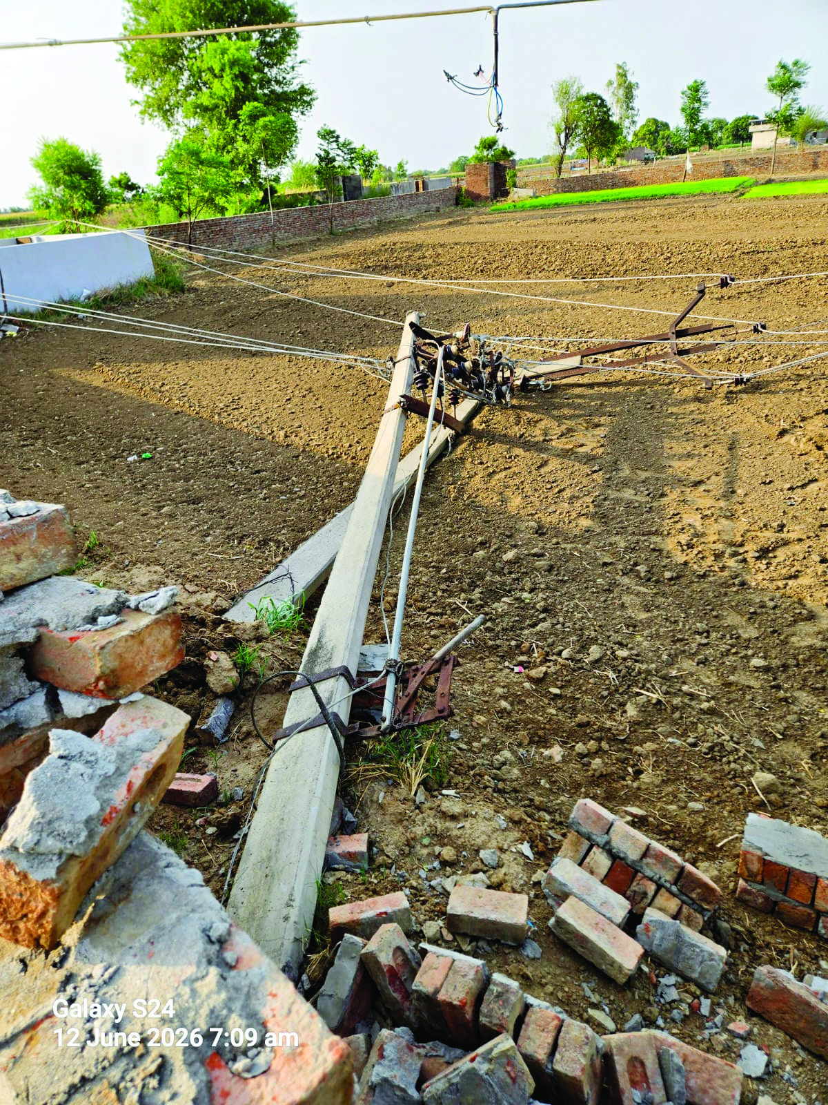 30-year-old trees were uprooted, 85 transformers and 214 poles also fell.