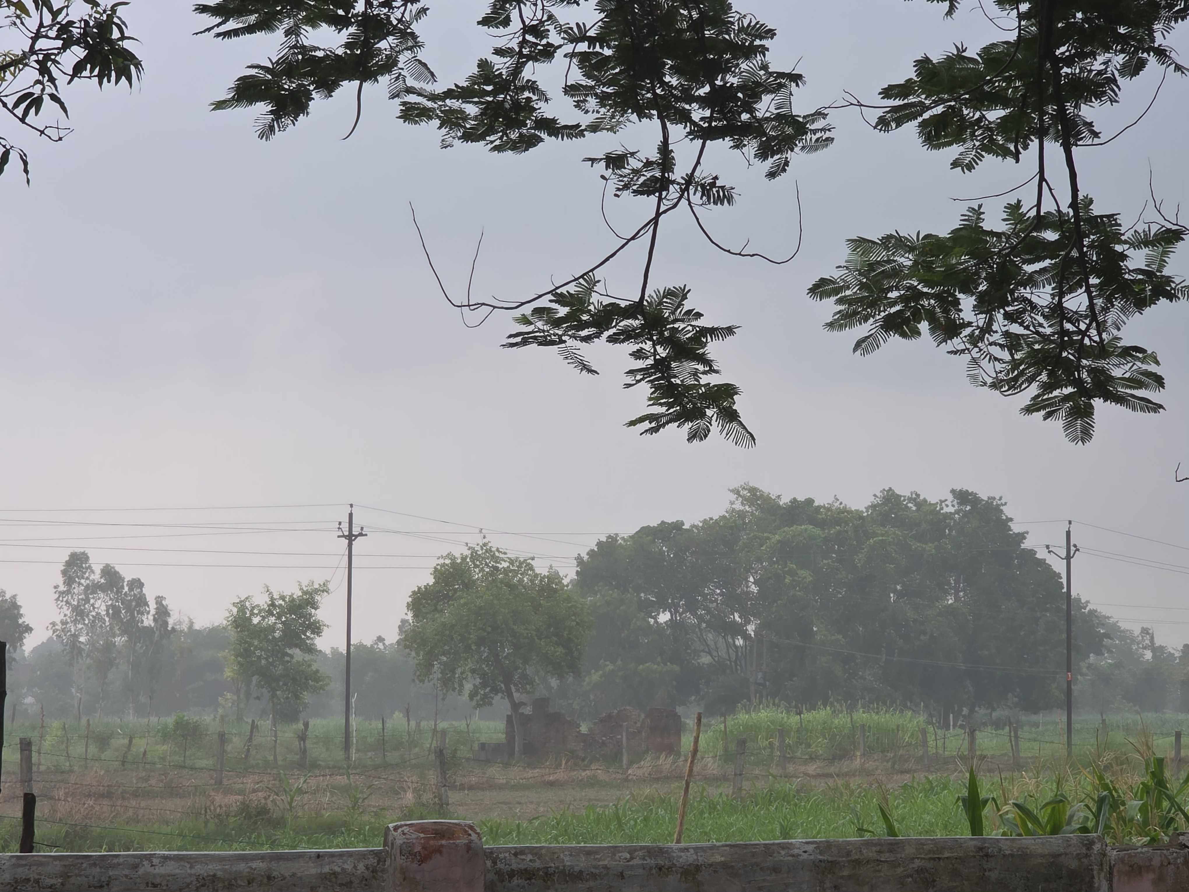 Tarun Rain Relief | Heat Humidity Monsoon Update