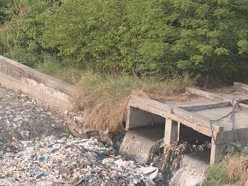 Lucknow Gomti River Low Water Level | Polluted Ghats, Sewage Drains VIDEO