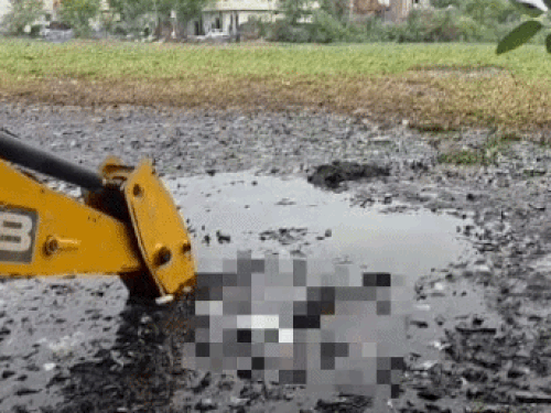 Rohtak Missing Man Body Found in Pond; Family Alleges Murder