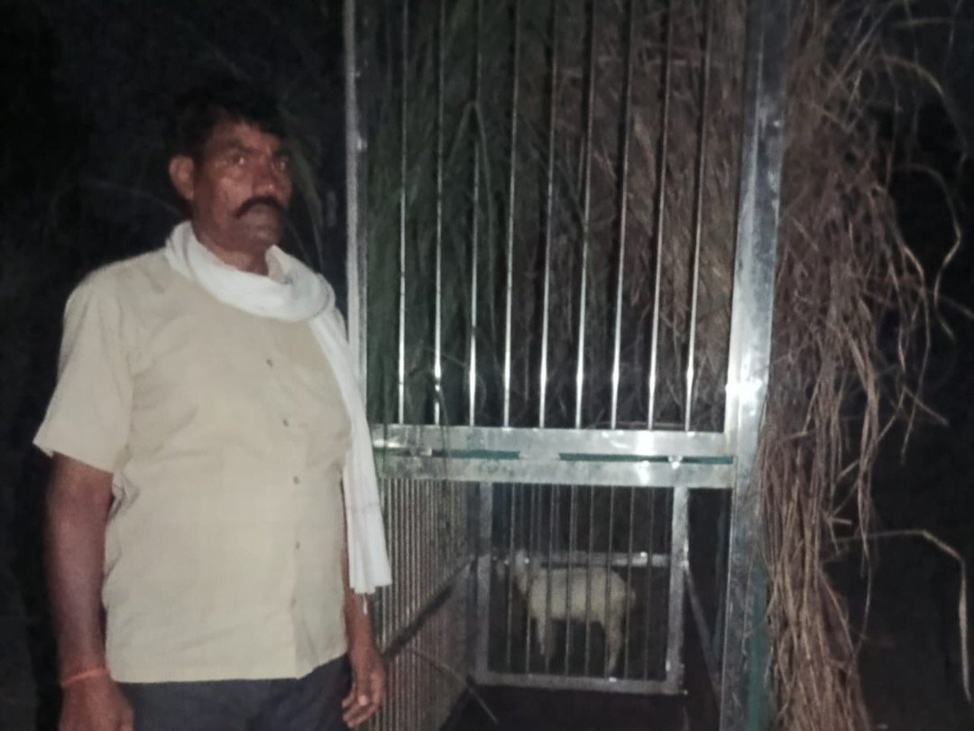 Latest bagaha News (बगहा (बेतिया (पश्चिमी चंपारण)) न्यूज़): पढ़ें 15 ...