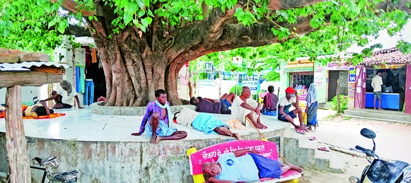 The cool shade of trees provides relief from the heat and scorching sun.