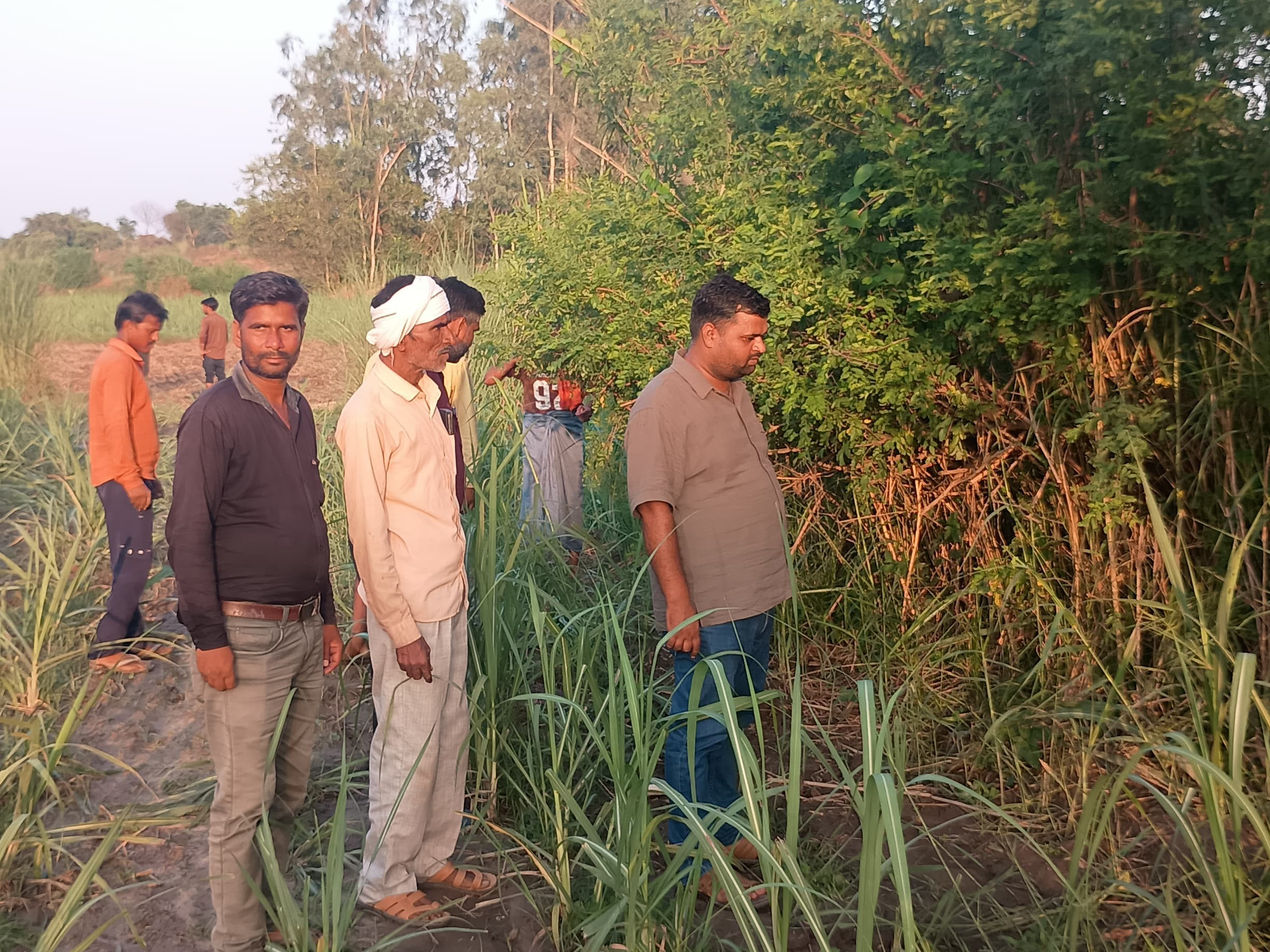 Sitapur Leopard Fear | Farmers Avoid Fields; Villagers Demand Capture