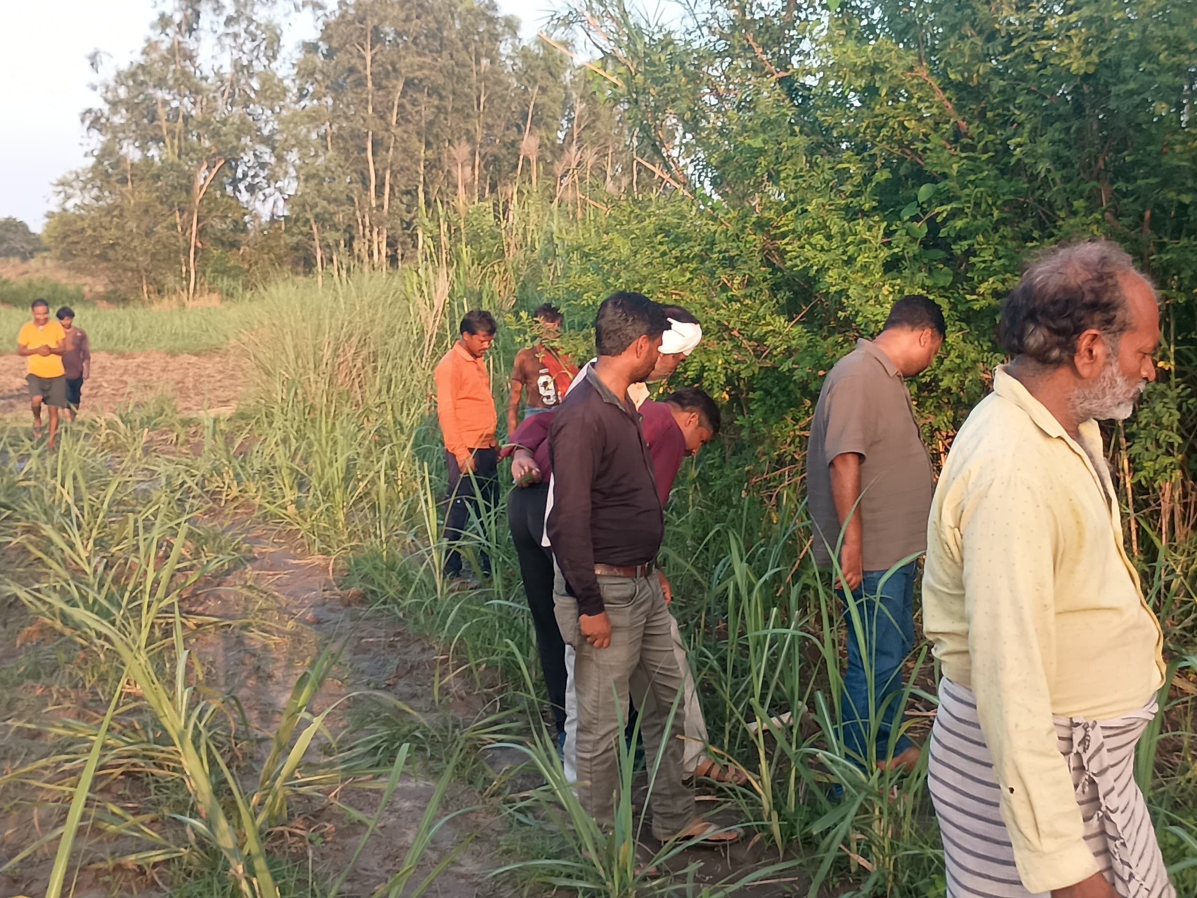 Sitapur Leopard Fear | Farmers Avoid Fields; Villagers Demand Capture