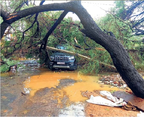 Pre-monsoon showers... Up to 2 inches of rain, temperatures drop to 50 ...