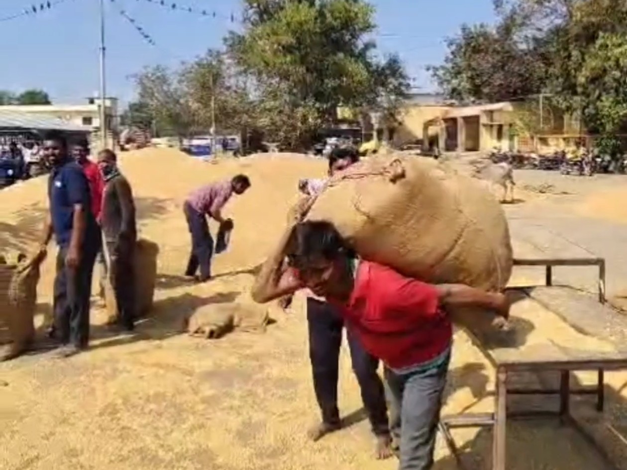Latest Dhar News (धार न्यूज़): पढ़ें 15 जून के ताज़ा समाचार दैनिक भास्कर पर